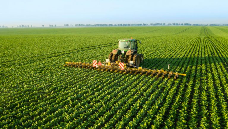 Row-crop cultivators | BEDNAR FMT