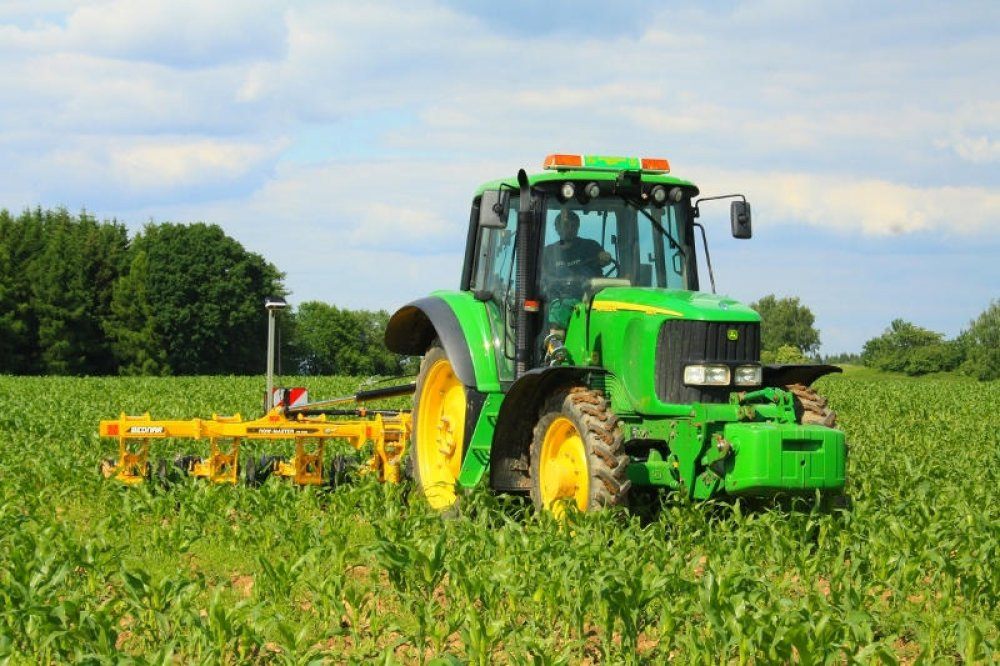 Inter-row Cultivation in a Corn Field | BEDNAR FMT