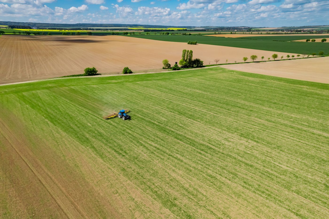 ROTO-MASTER RMN | BEDNAR FMT